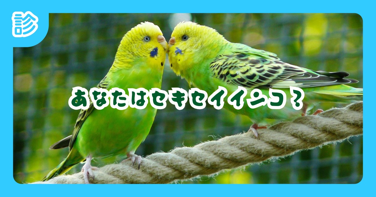 あなたはセキセイインコ？